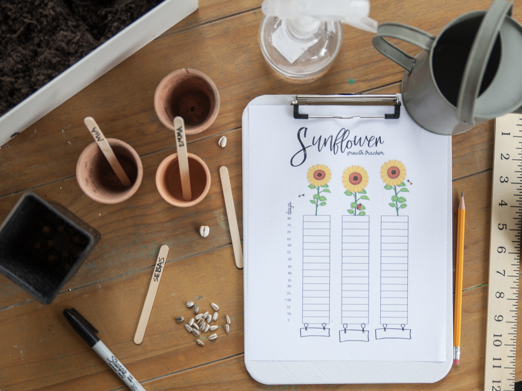Sunflower growth tracker – Spoonful of Joy